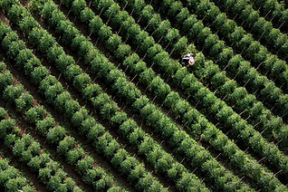 Soluciones | Crest Intermediario de Reaseguro